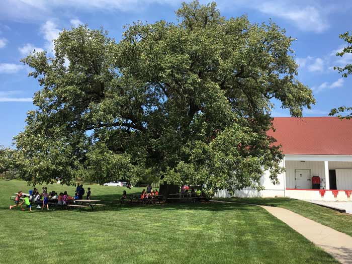 The Morton Mansion, Arbor Day Farm, and the Lied Lodge