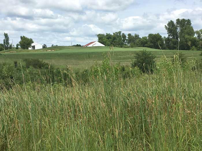 The Morton Mansion, Arbor Day Farm, and the Lied Lodge